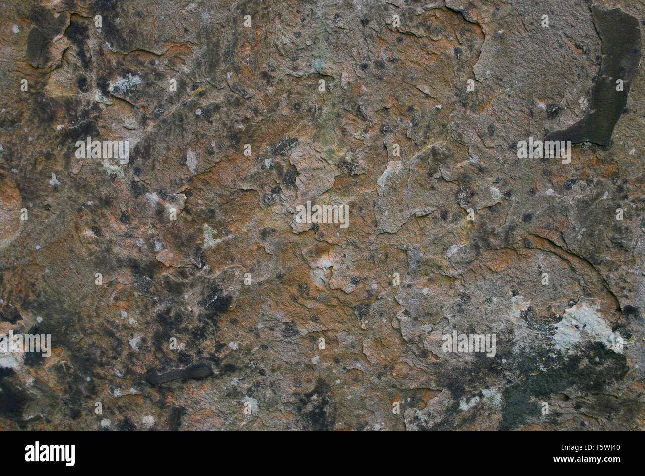 Old gravestone surface texture detail Stock Photo - Alamy