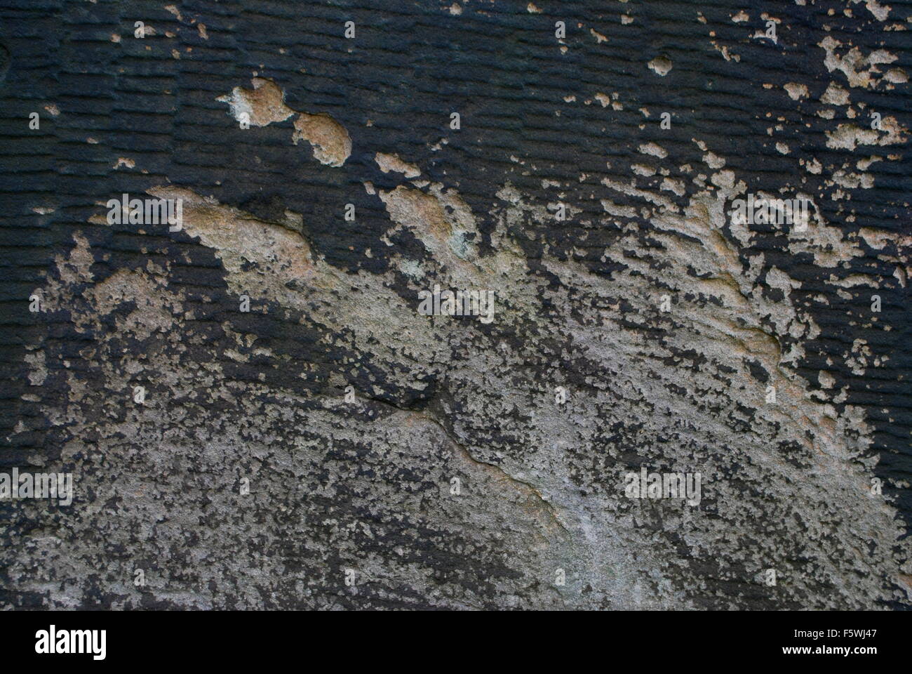 Texture detail of medieval gravestone Stock Photo - Alamy