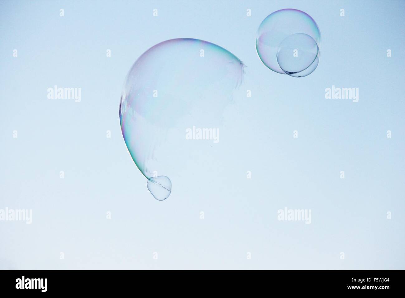 bubble bubbles abstract close-up soap bubble background modern simple ...