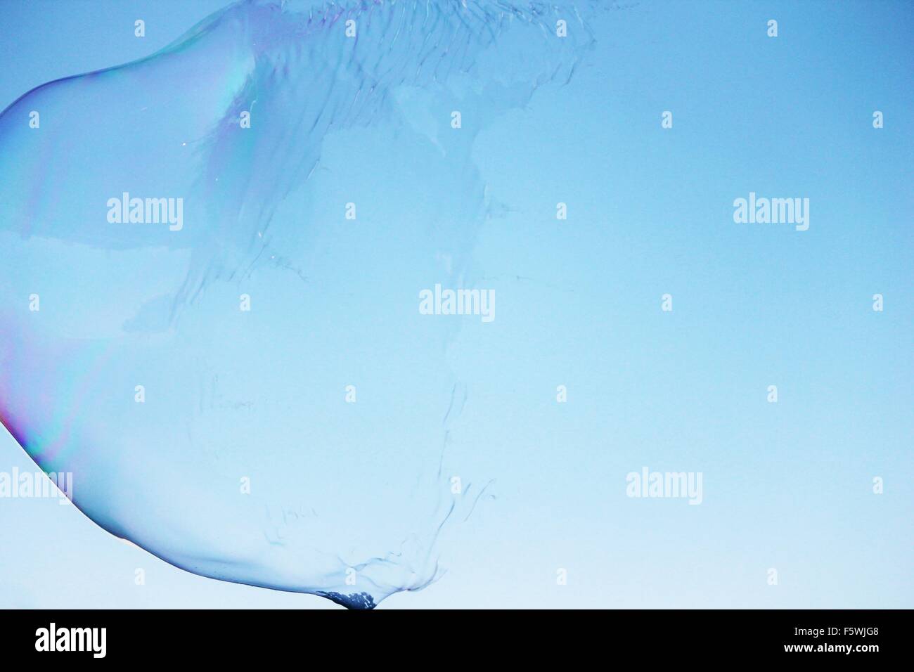 bubble bubbles abstract close-up soap bubble background modern simple ...