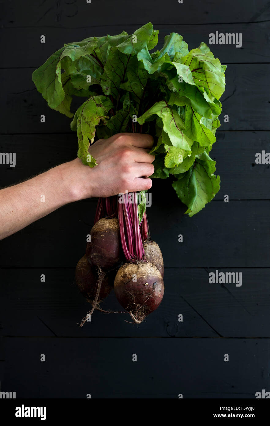 Bunch of fresh garden beetroot kept in man's hand, black wooden ...