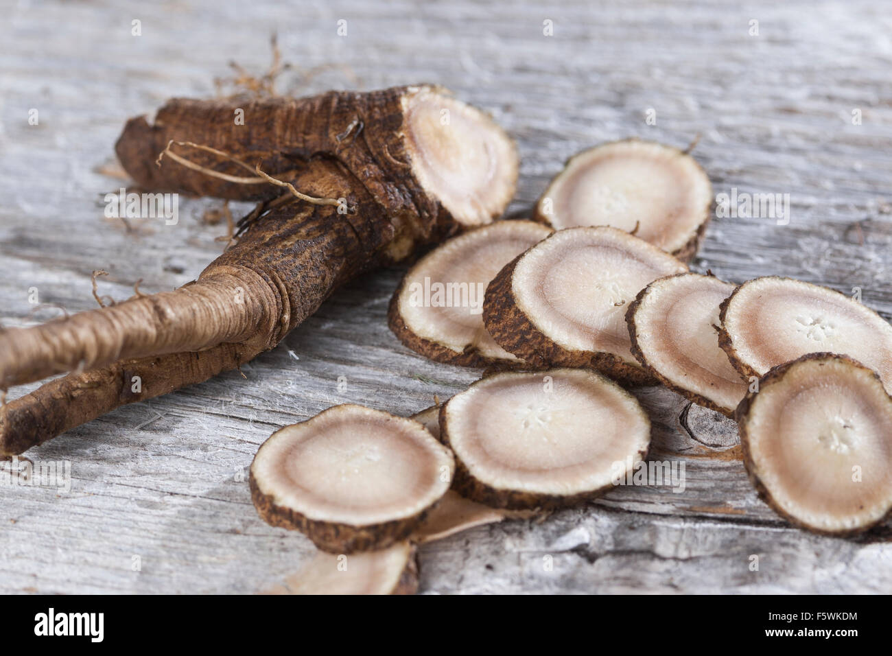 Edible burdock, greater burdock, roots, root stock, Große Klette ...