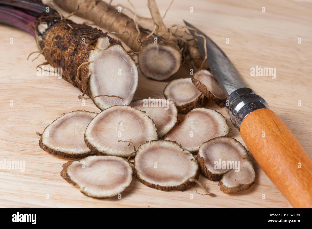 Edible burdock greater burdock roots hi-res stock photography and ...