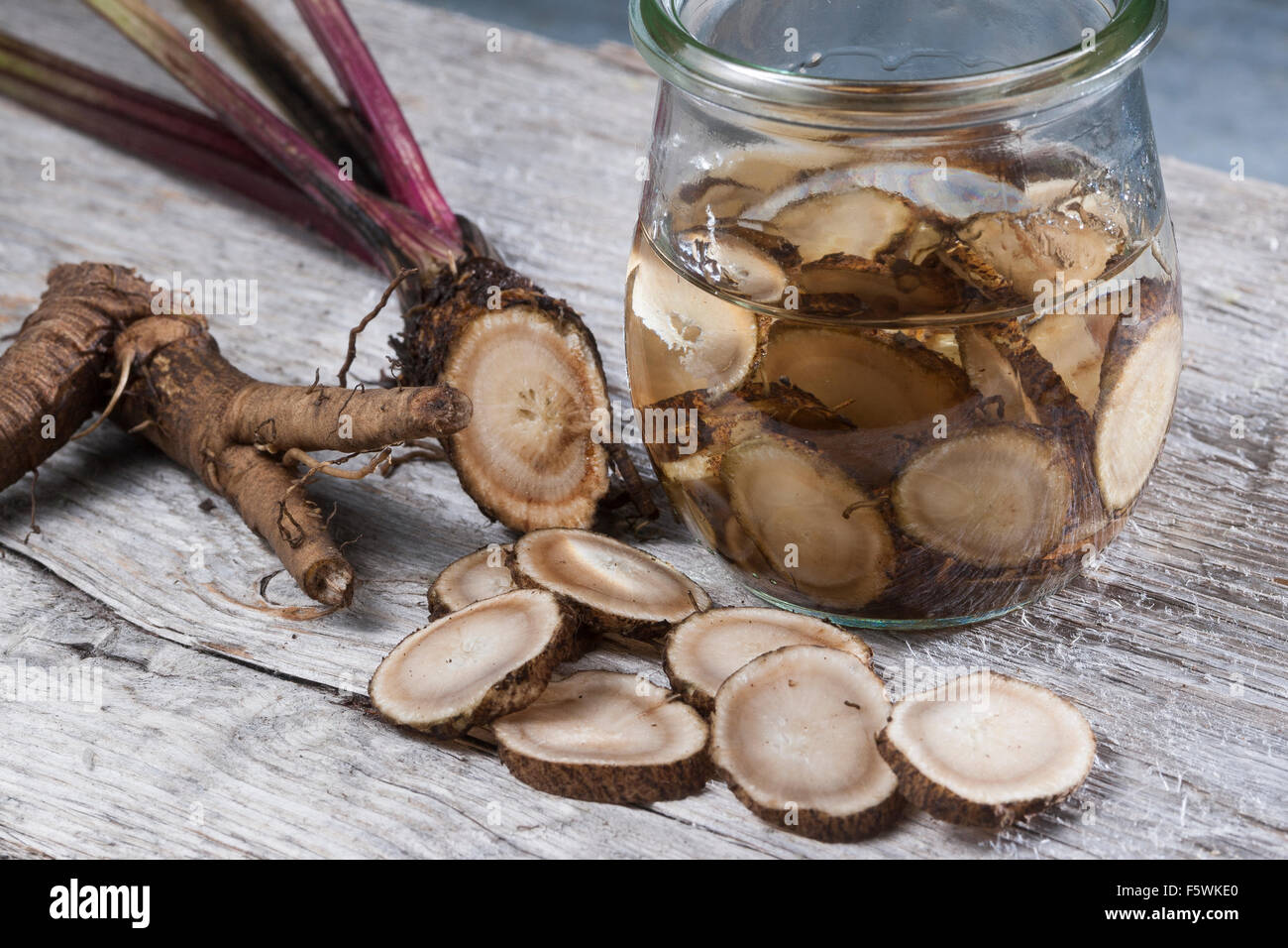 Edible burdock, greater burdock, roots, root stock, Große Klette ...