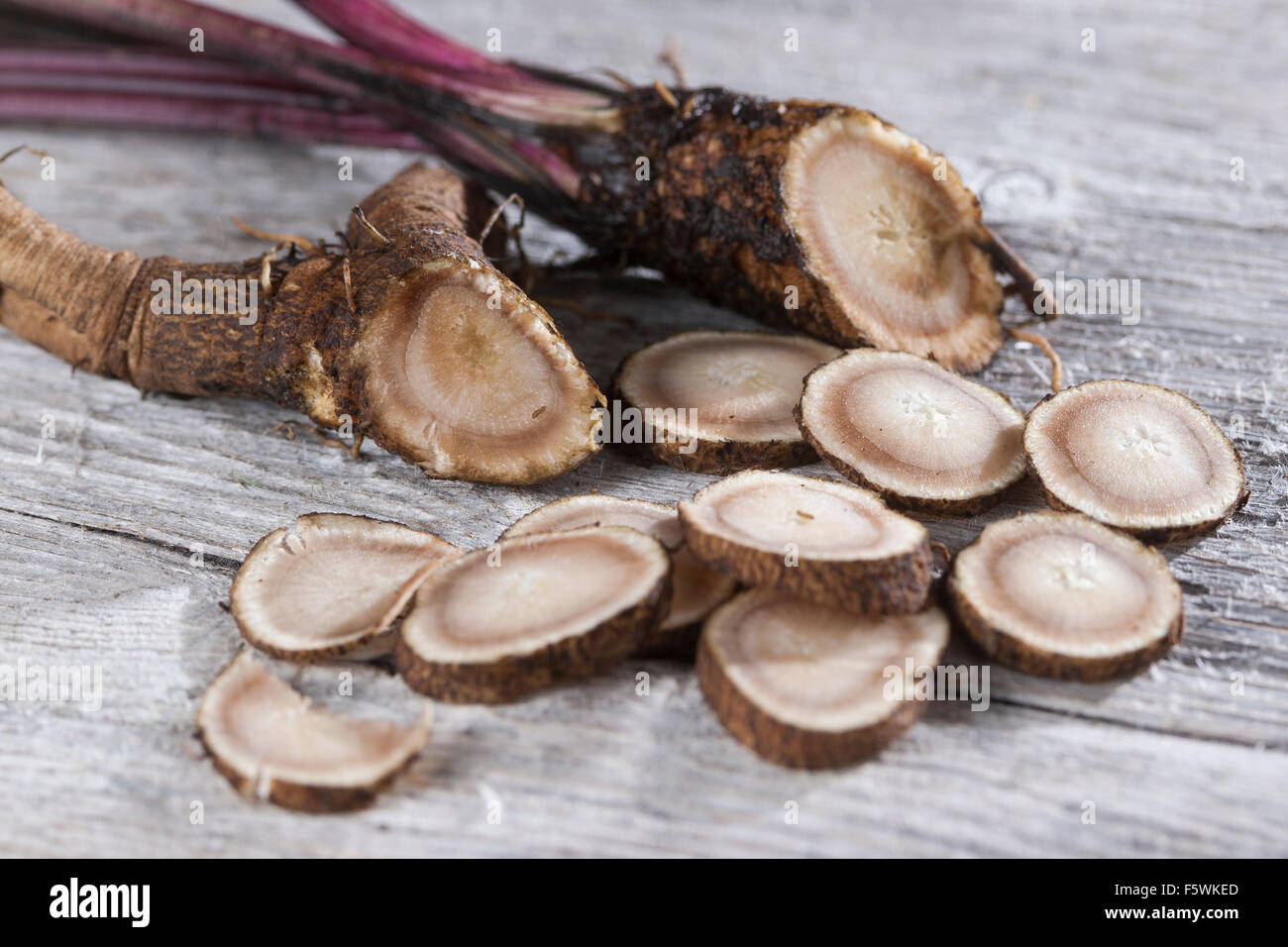 Edible burdock, greater burdock, roots, root stock, Große Klette ...