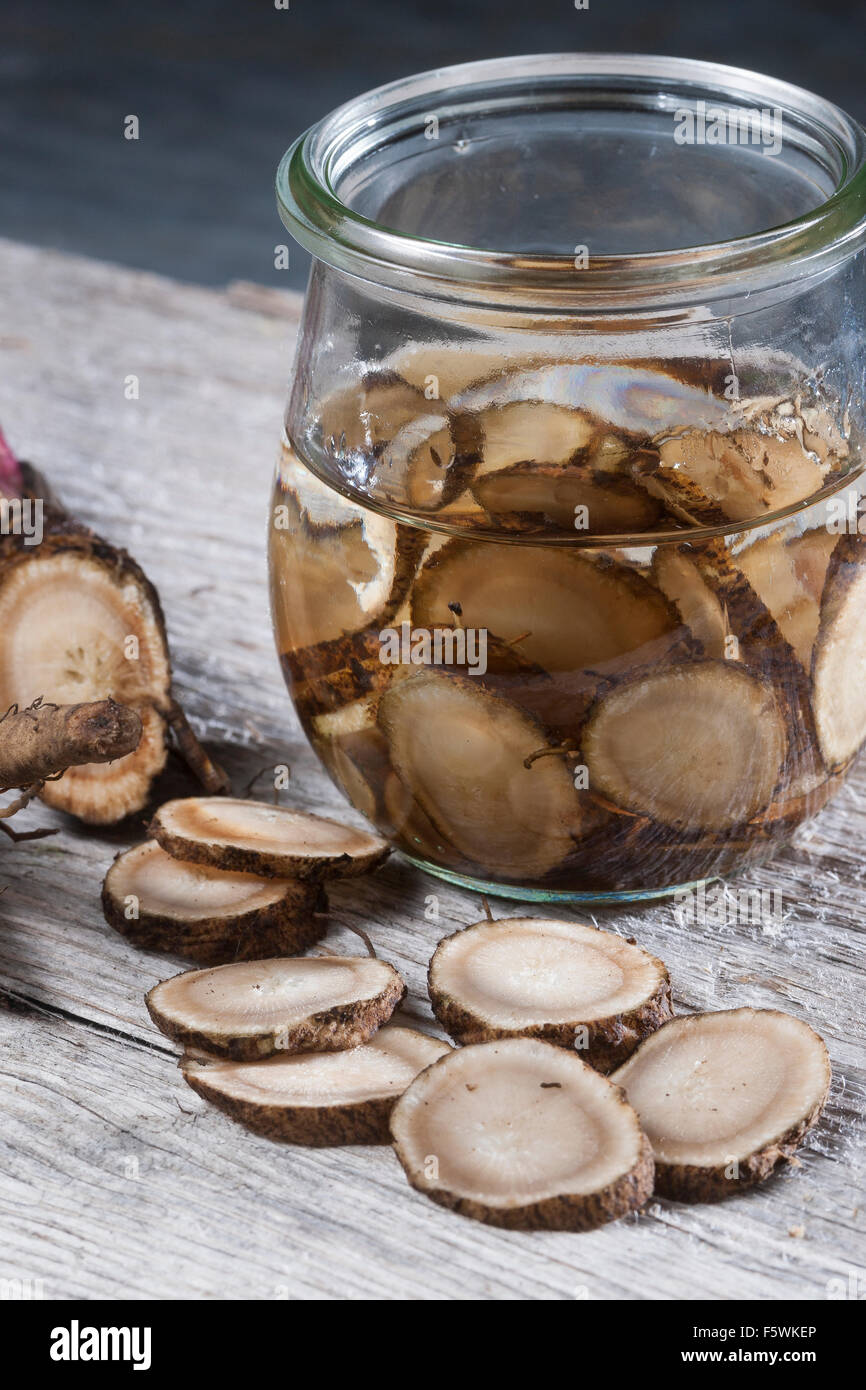 Edible burdock, greater burdock, roots, root stock, Große Klette ...