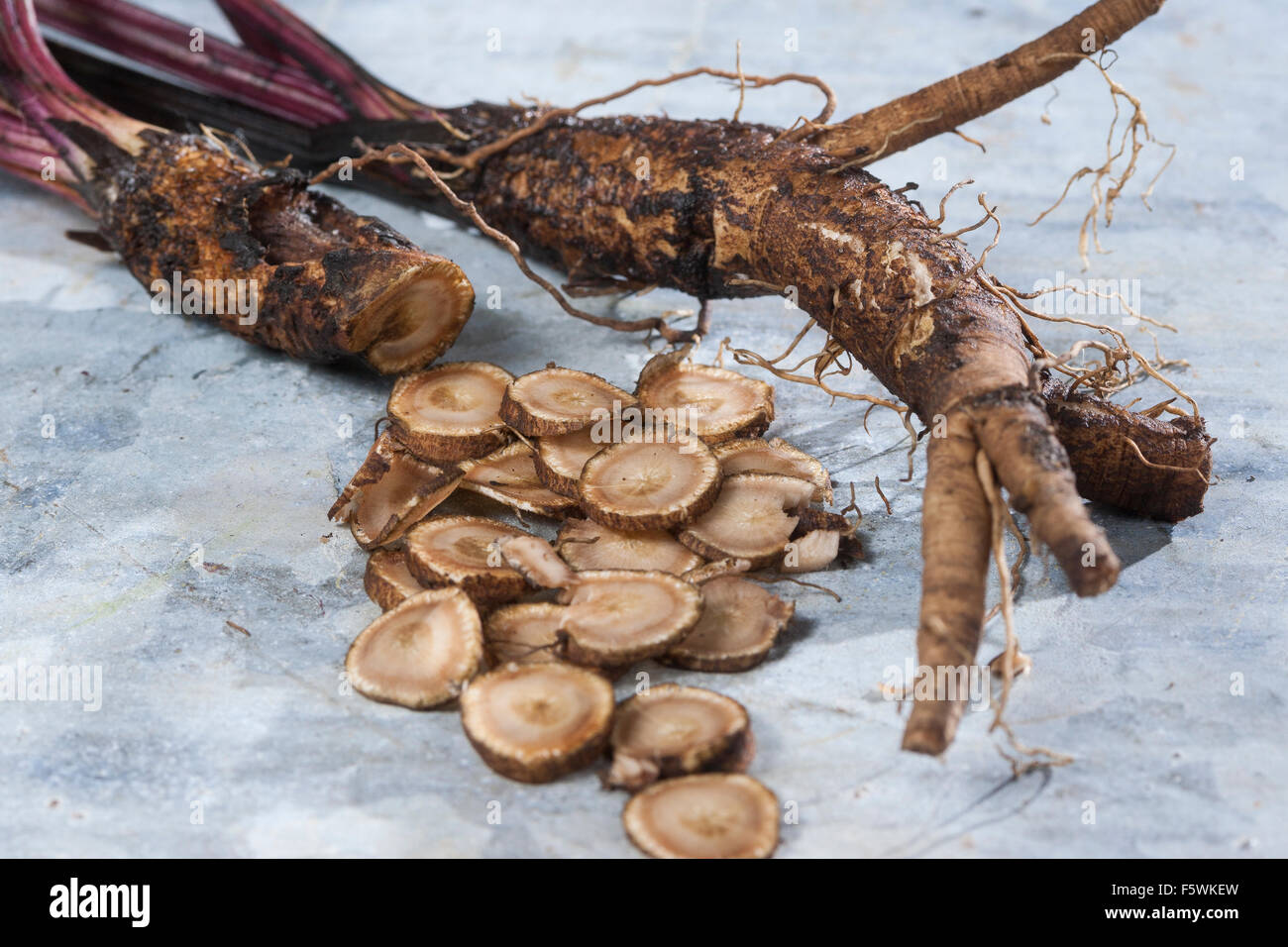 Edible burdock, greater burdock, roots, root stock, Große Klette ...