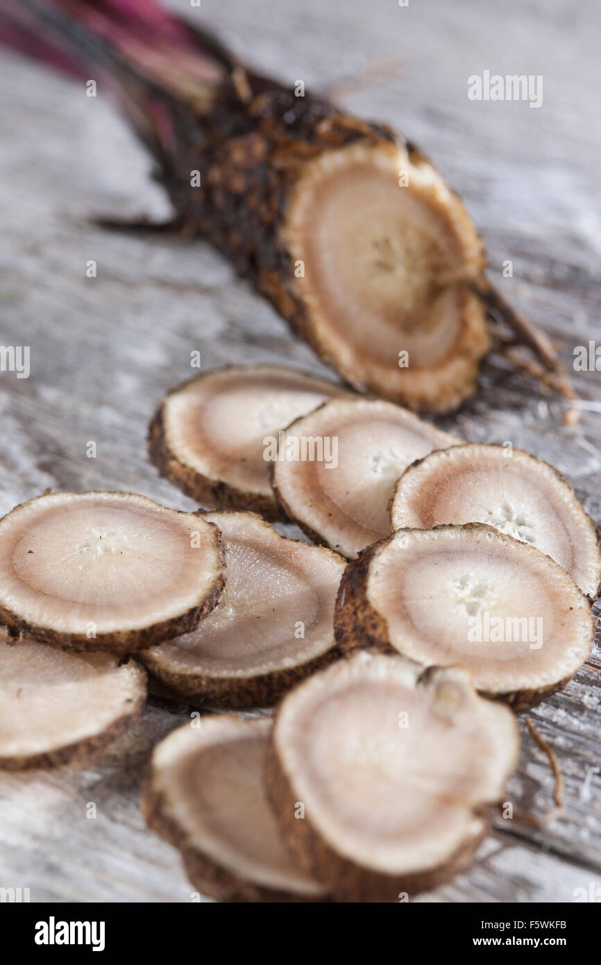 Edible burdock greater burdock roots hi-res stock photography and ...