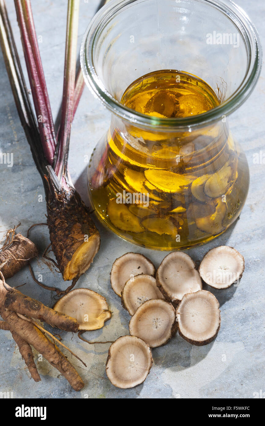 Edible burdock, greater burdock, roots, root stock, Große Klette ...