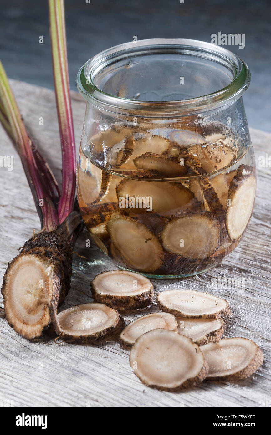 Edible burdock, greater burdock, roots, root stock, Große Klette ...