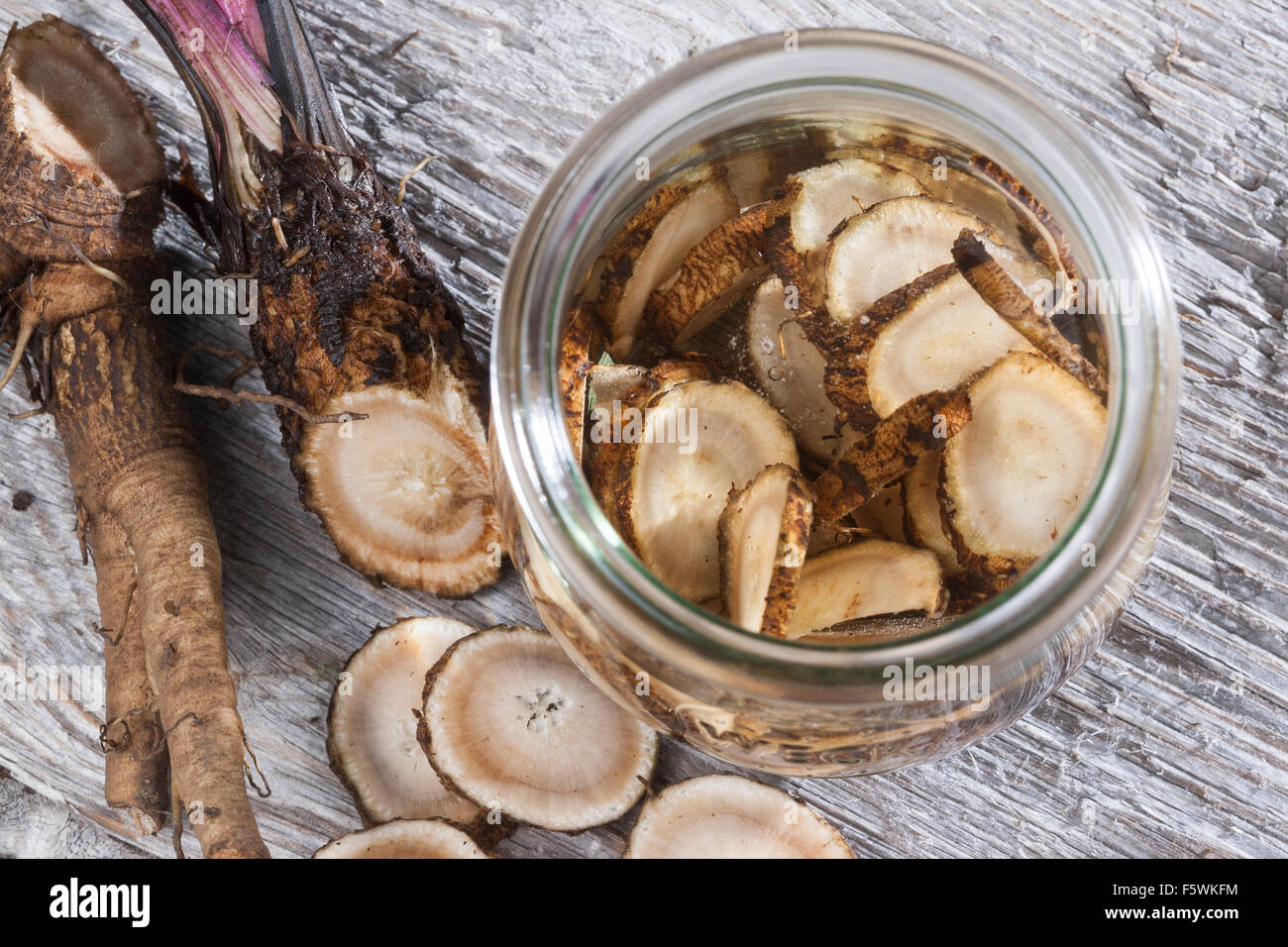 Edible burdock, greater burdock, roots, root stock, Große Klette ...