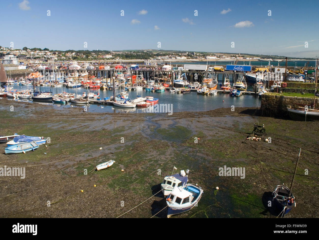 Newlyn and fish festival hi-res stock photography and images - Alamy
