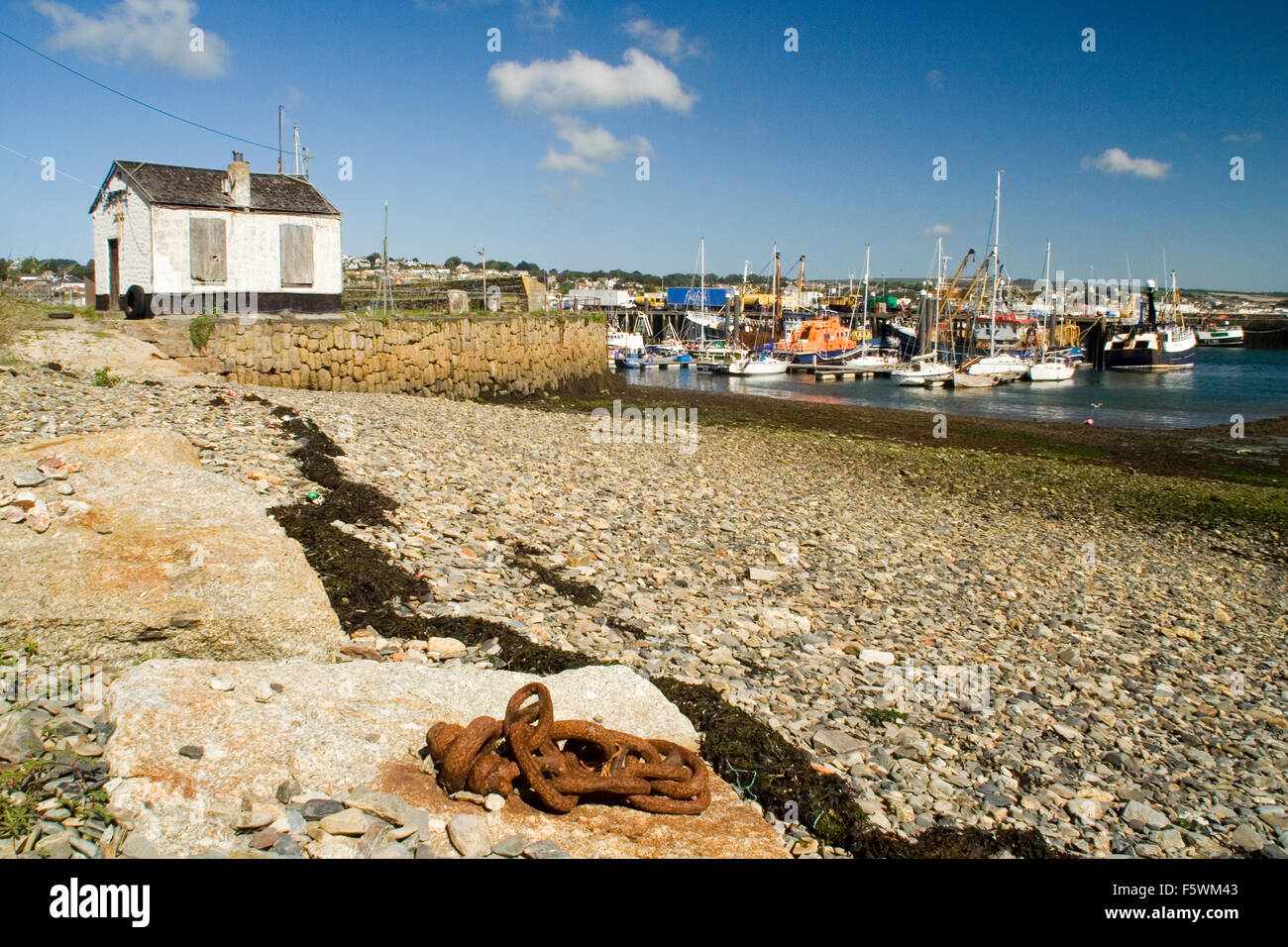 Newlyn and fish festival hi-res stock photography and images - Alamy