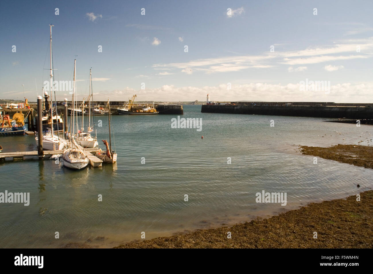 Newlyn and fish festival hi-res stock photography and images - Alamy