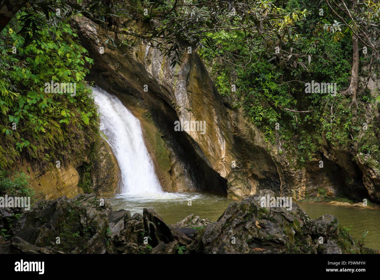 Skinny dipping hi-res stock photography and images - Alamy