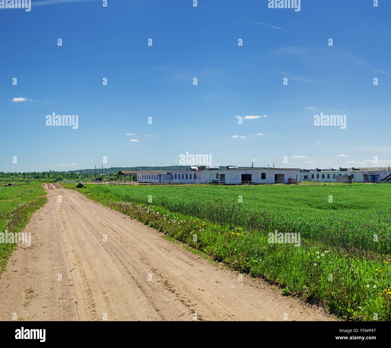 Sand road near old village farm Stock Photo - Alamy