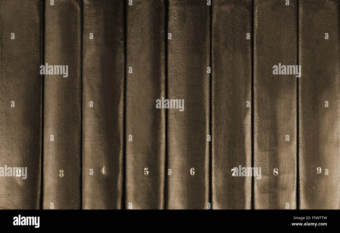 Row of books. Background or texture Stock Photo - Alamy
