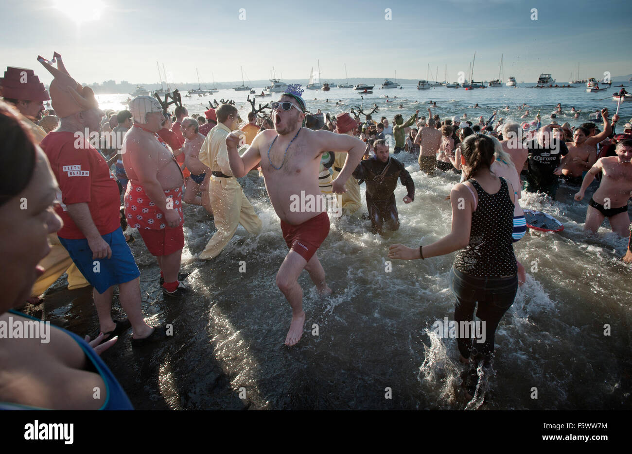 Polar bear swim hi-res stock photography and images - Alamy