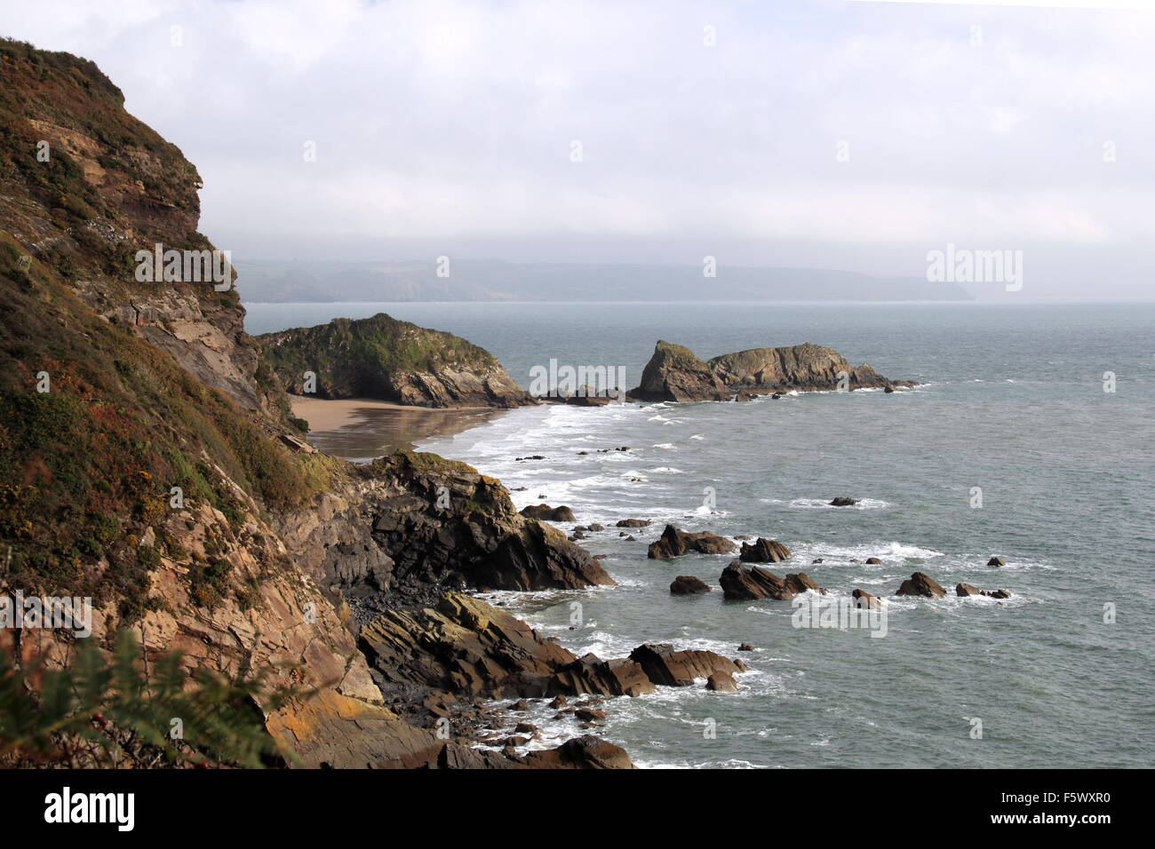 Monkstone Point, near Tenby, Pembrokeshire, Dyfed, Wales, Great Britain ...