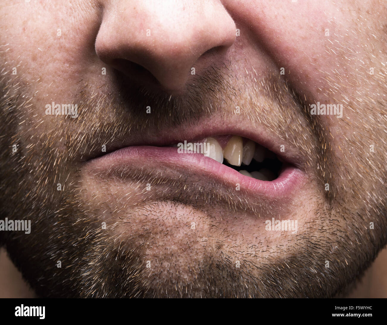 Man growling hi-res stock photography and images - Alamy
