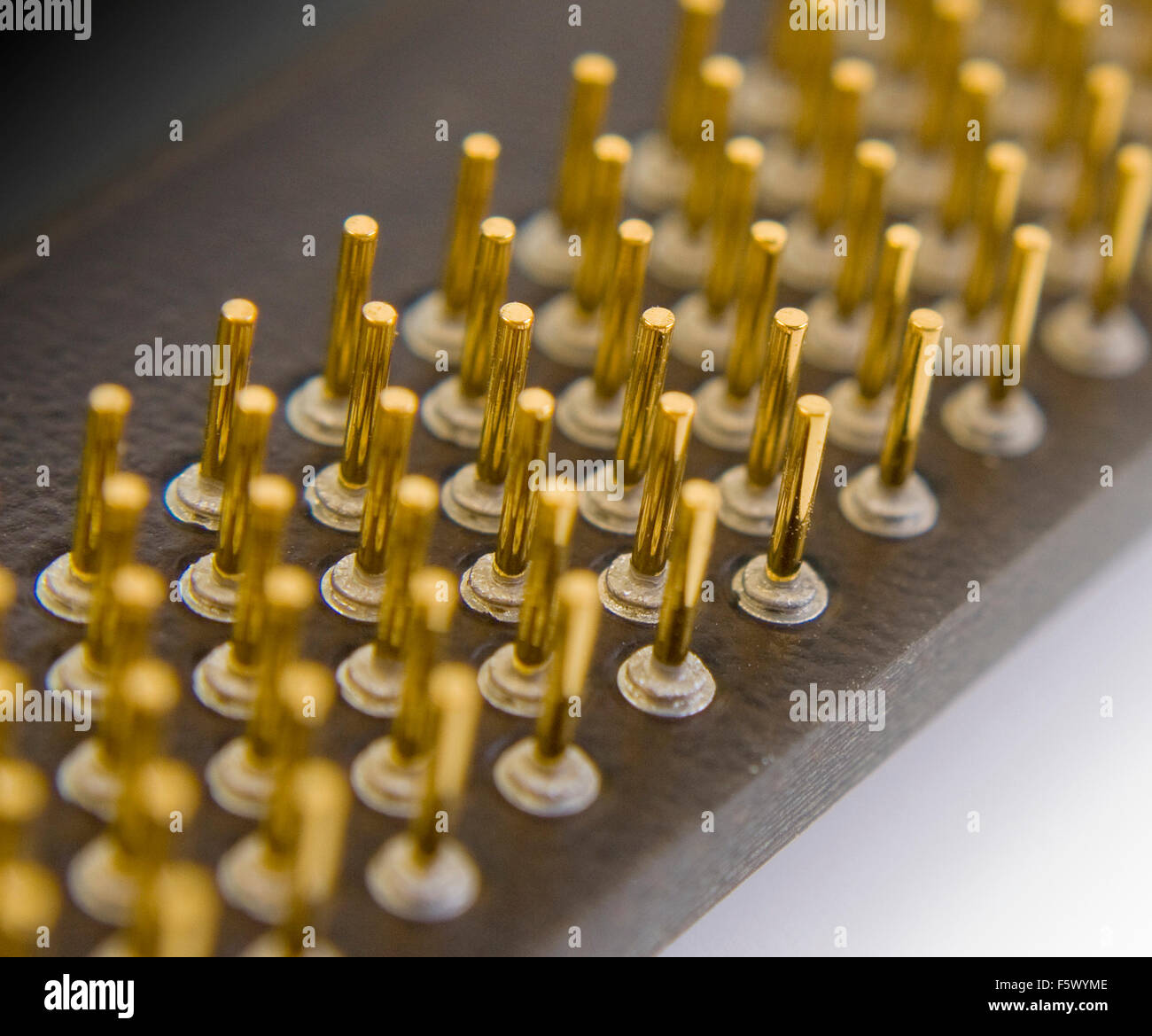 Computer processor pins closeup Stock Photo - Alamy