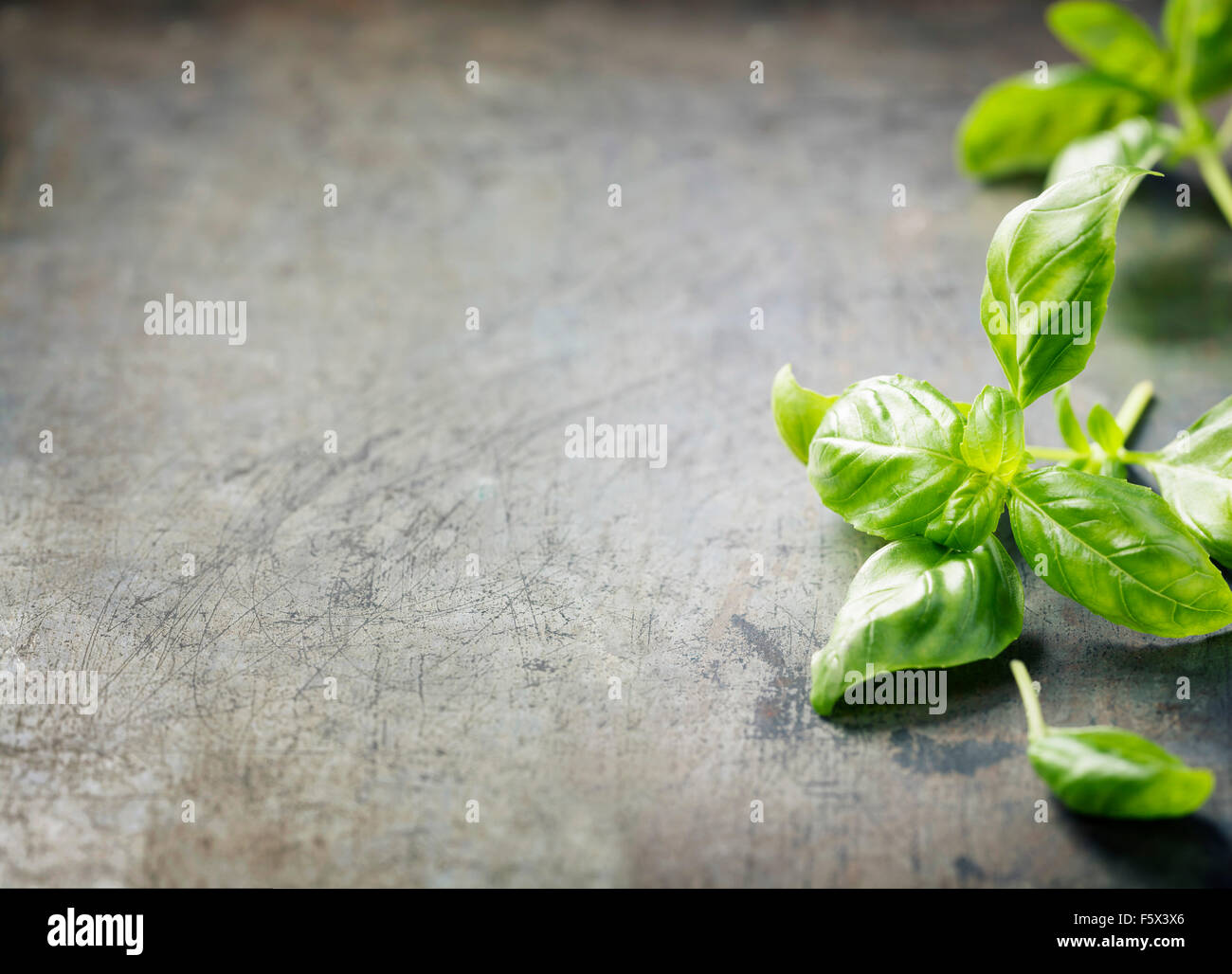 Fresh herb hi-res stock photography and images - Alamy