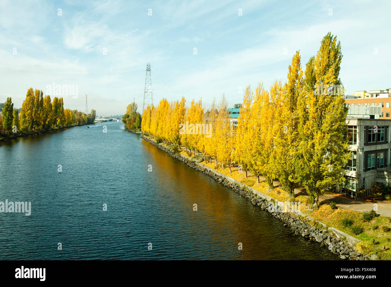 Cut tree at water hi-res stock photography and images - Alamy