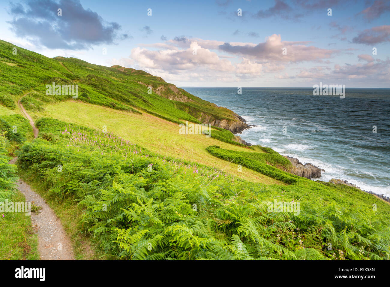 Morte Point, Mortehoe, North Devon, England, United Kungdom, Europe ...