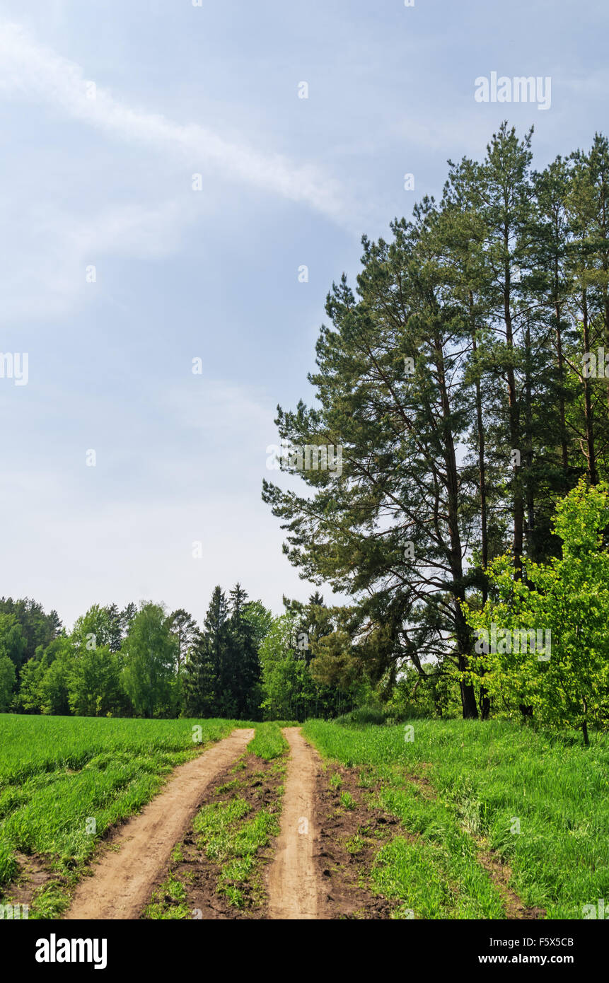 Road through field Stock Photo - Alamy