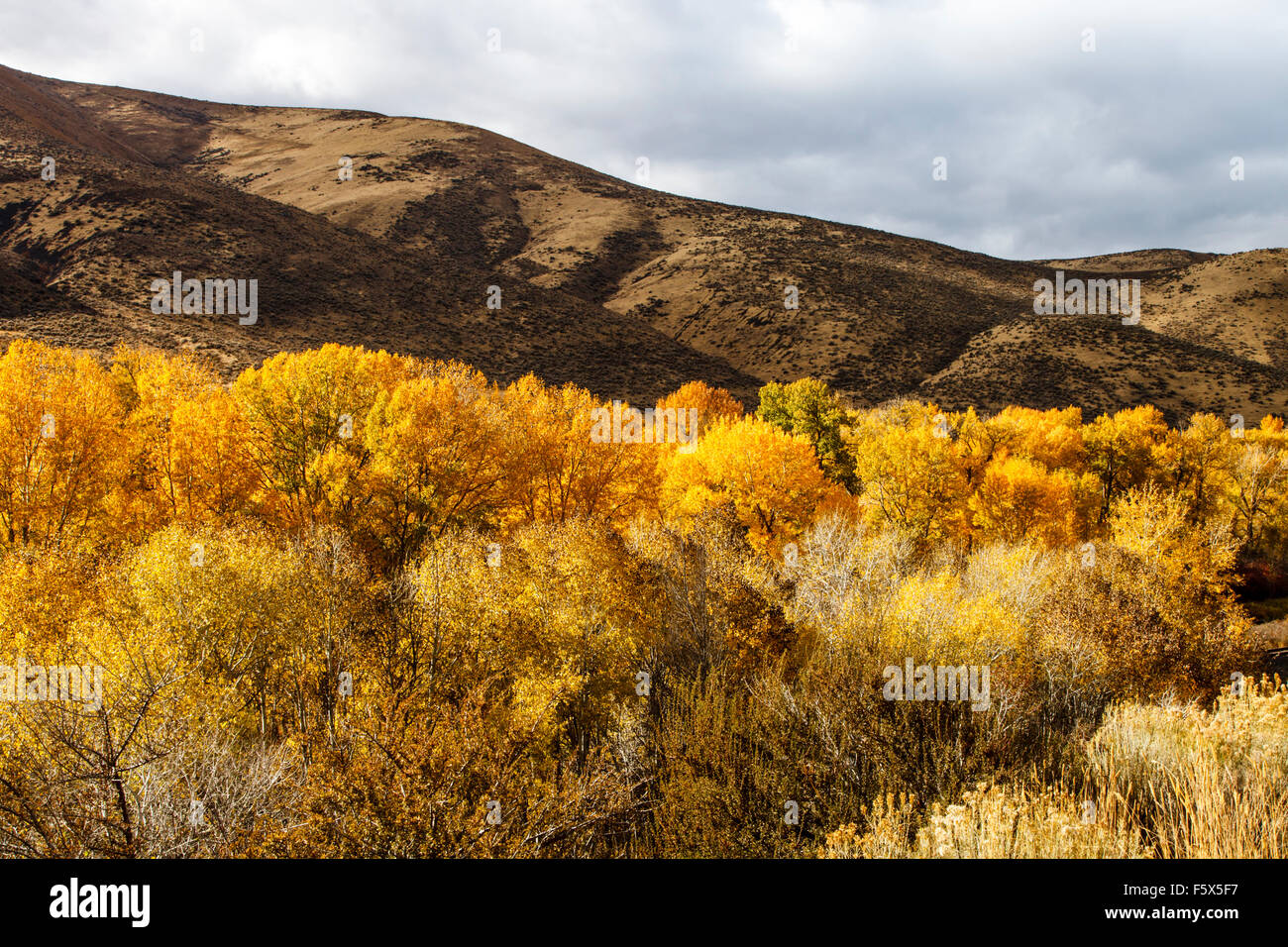 Eastern colours hi-res stock photography and images - Alamy