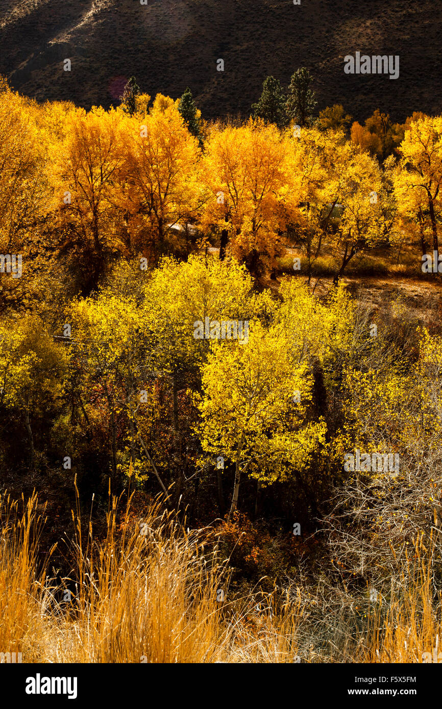 Eastern colours hi-res stock photography and images - Alamy