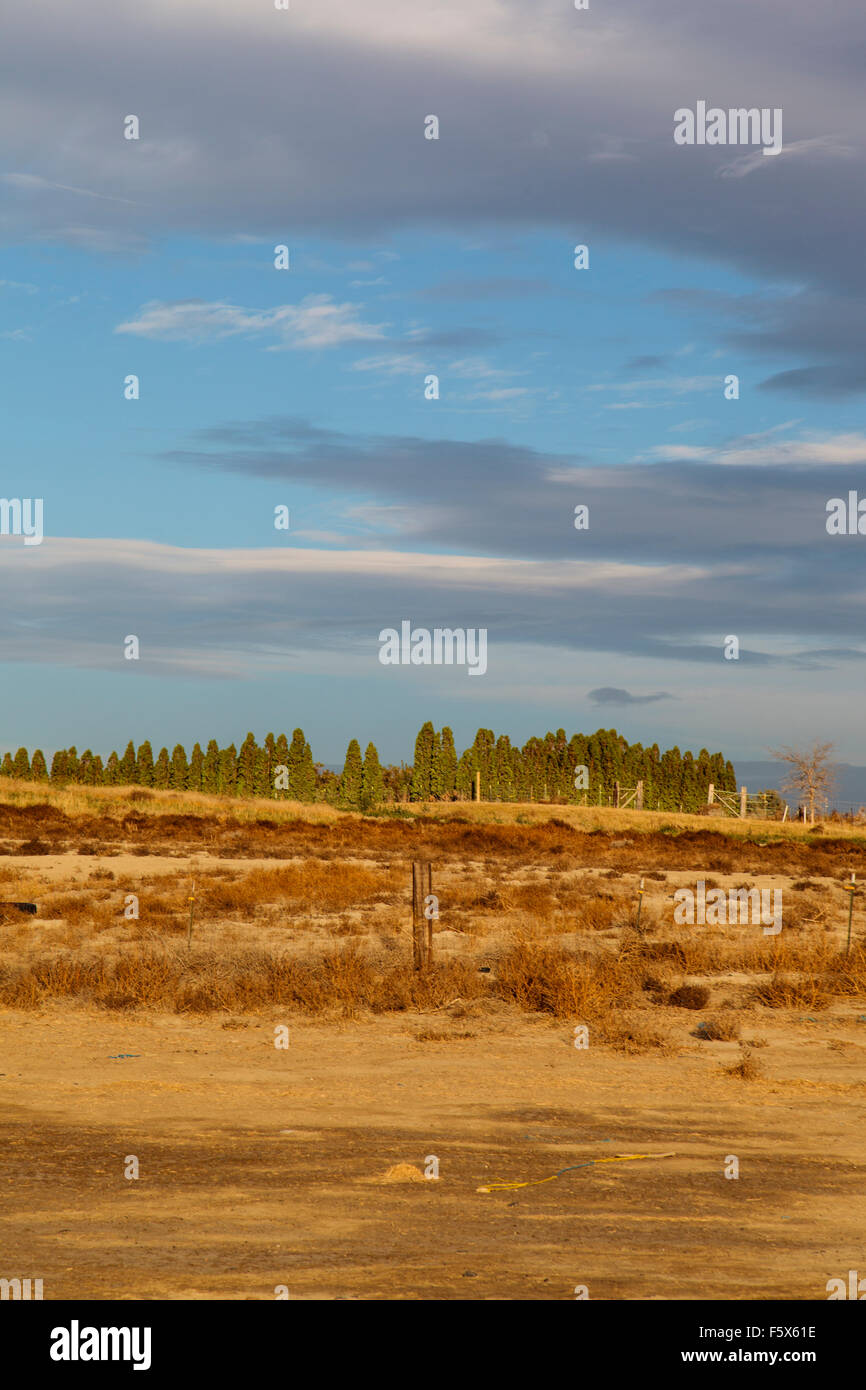 Walla Walla Valley, Eastern Washington North America USA Stock Photo ...