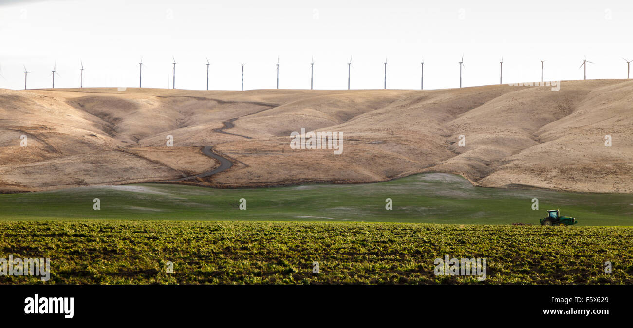 Wind farm on the Vancycle Bluff Oregon North America USA Stock Photo ...