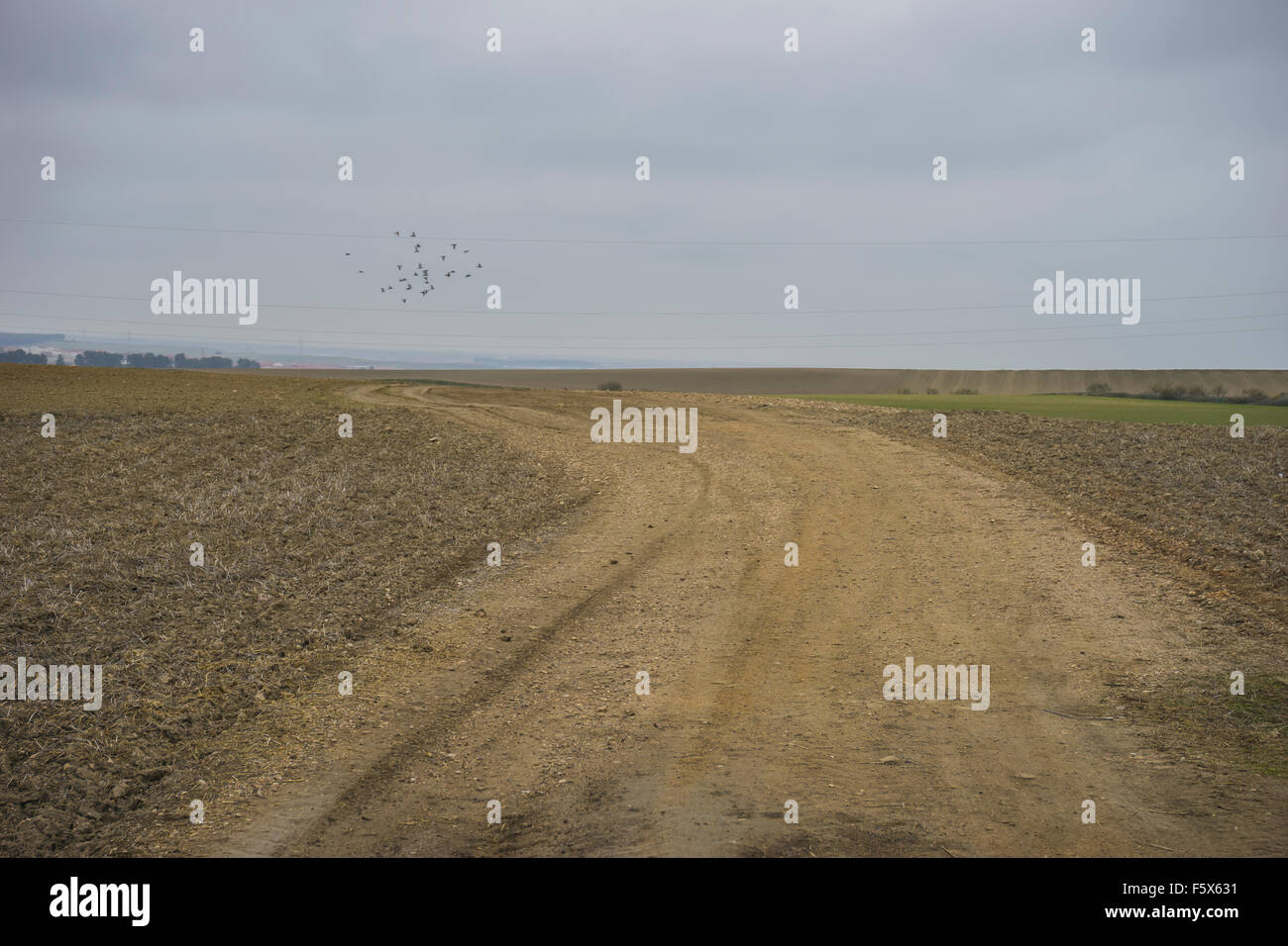desolate landscape with ruins on a cloudy day Stock Photo - Alamy