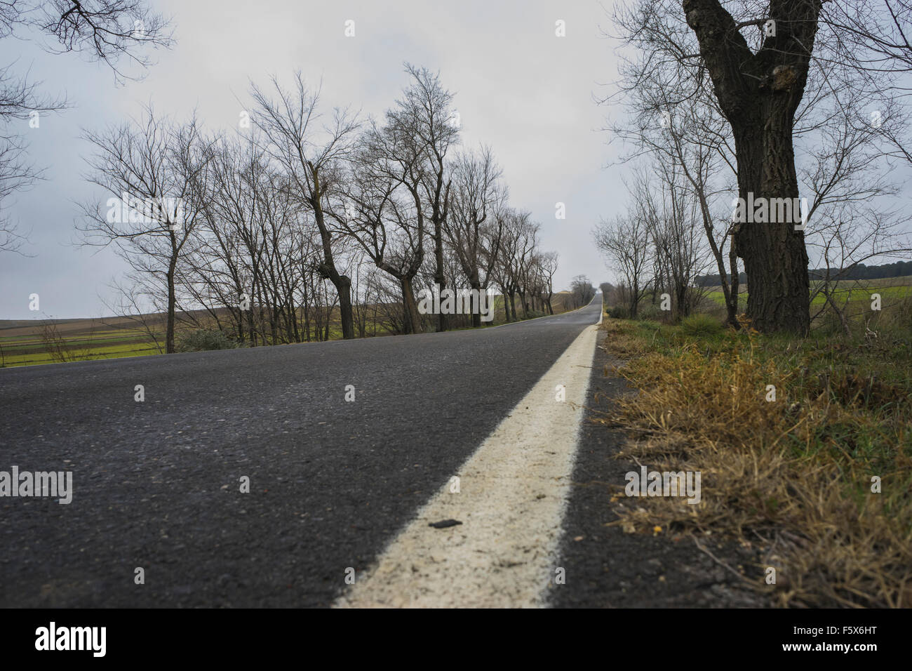 lonely road, desolate landscape with ruins on a cloudy day Stock Photo ...