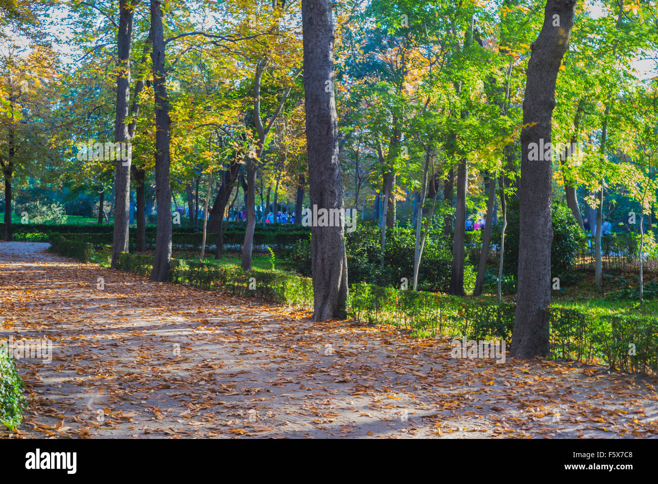 Gardens in Autumn in the Retiro Park in Madrid, Spain Stock Photo - Alamy
