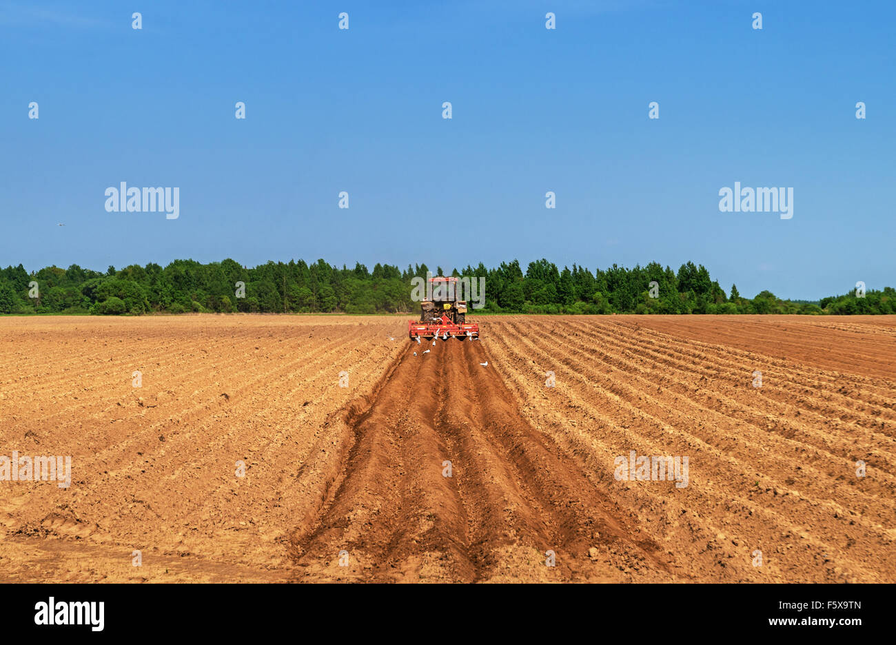 The tractor works at an agricultural field Stock Photo - Alamy
