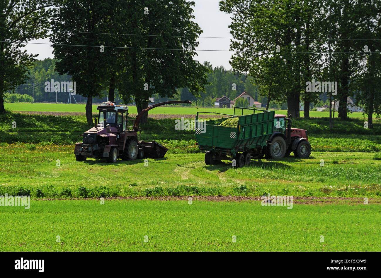 The tractor works at an agricultural field Stock Photo - Alamy