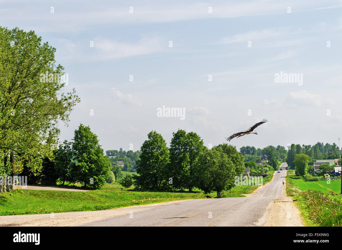 The asphalted rural road and flying stork Stock Photo - Alamy