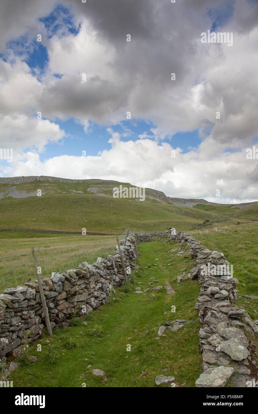 Footpath leading onto Moughton Scars Limestone pavement, Crummackdale ...