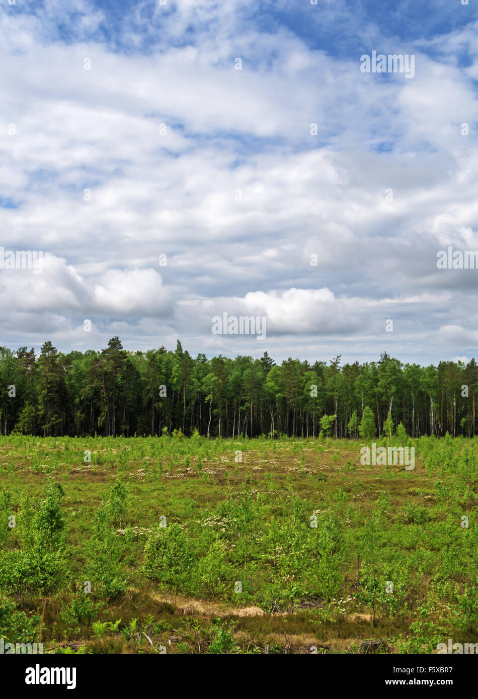 Felled trees way agriculture hi-res stock photography and images - Alamy