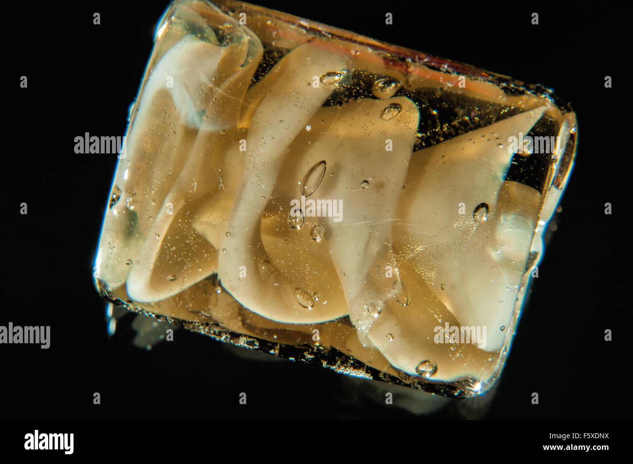 Translucent glass hi-res stock photography and images - Alamy