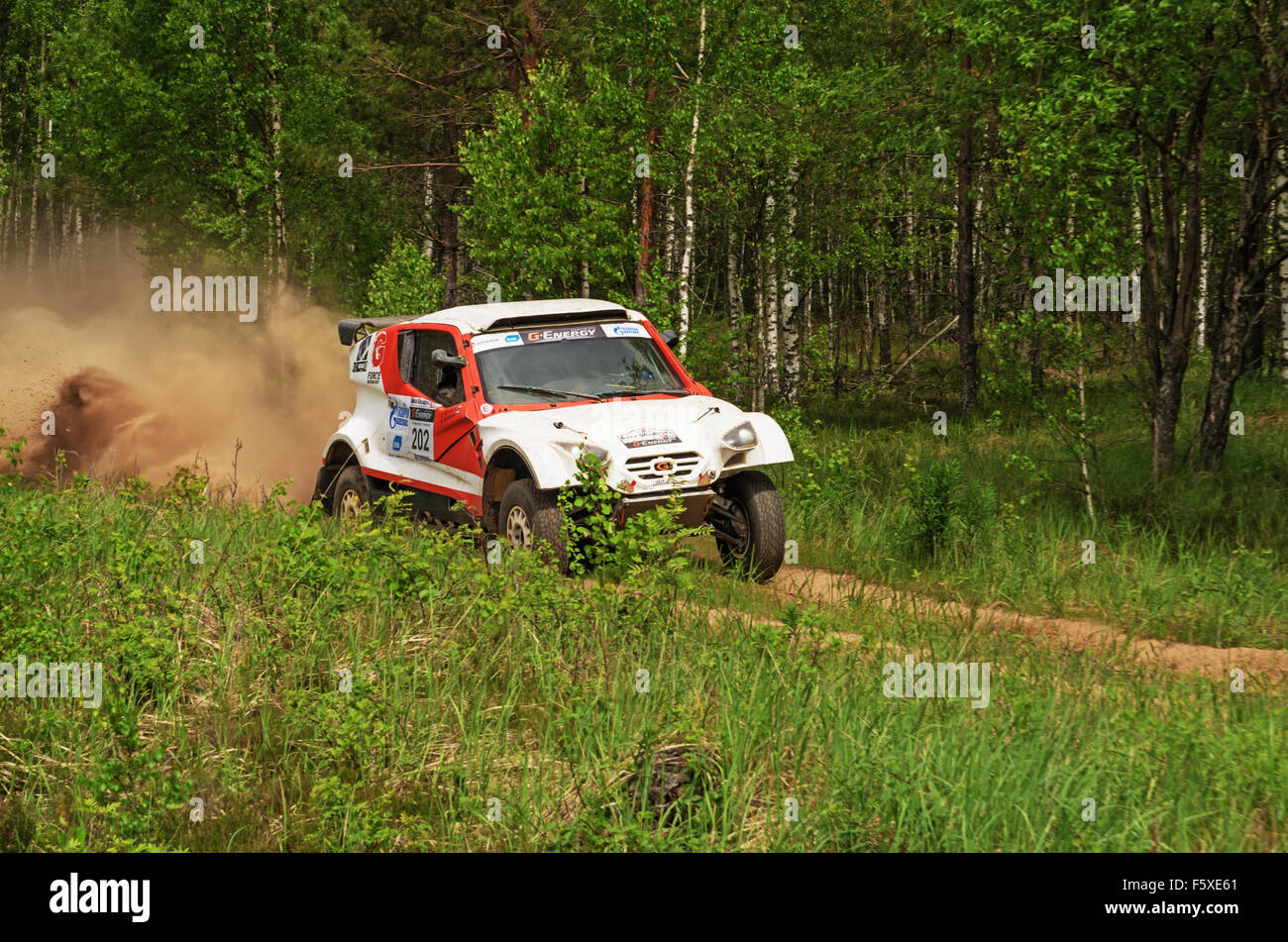 Races on a rally-raid in forest. Rally-raid Baha "Belarus" 2015 ...