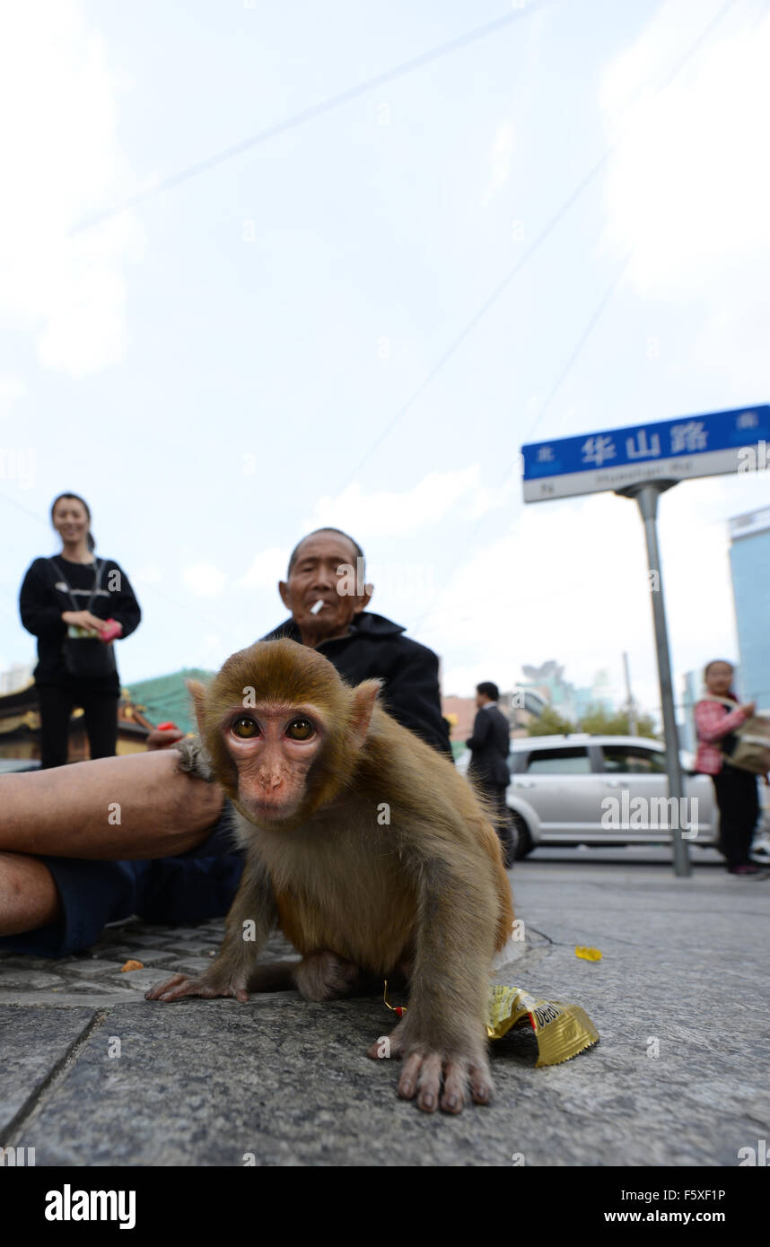 A Chinese man with his monkey in Shanghai,China Stock Photo - Alamy