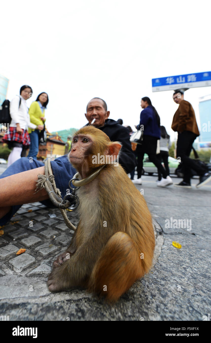 A Chinese man with his monkey in Shanghai,China Stock Photo - Alamy