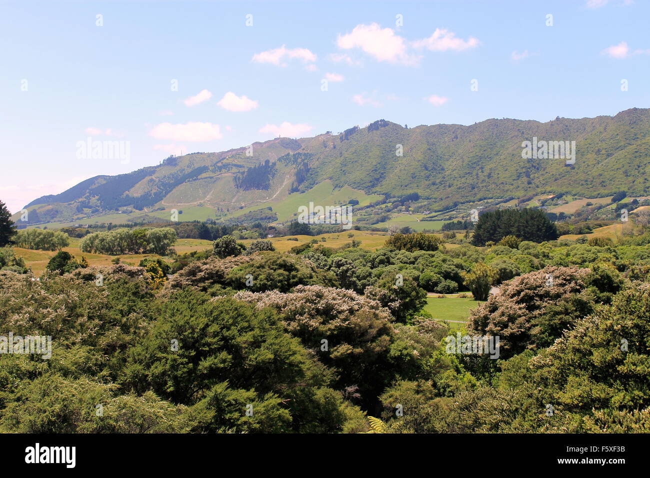 Tararua hi-res stock photography and images - Alamy
