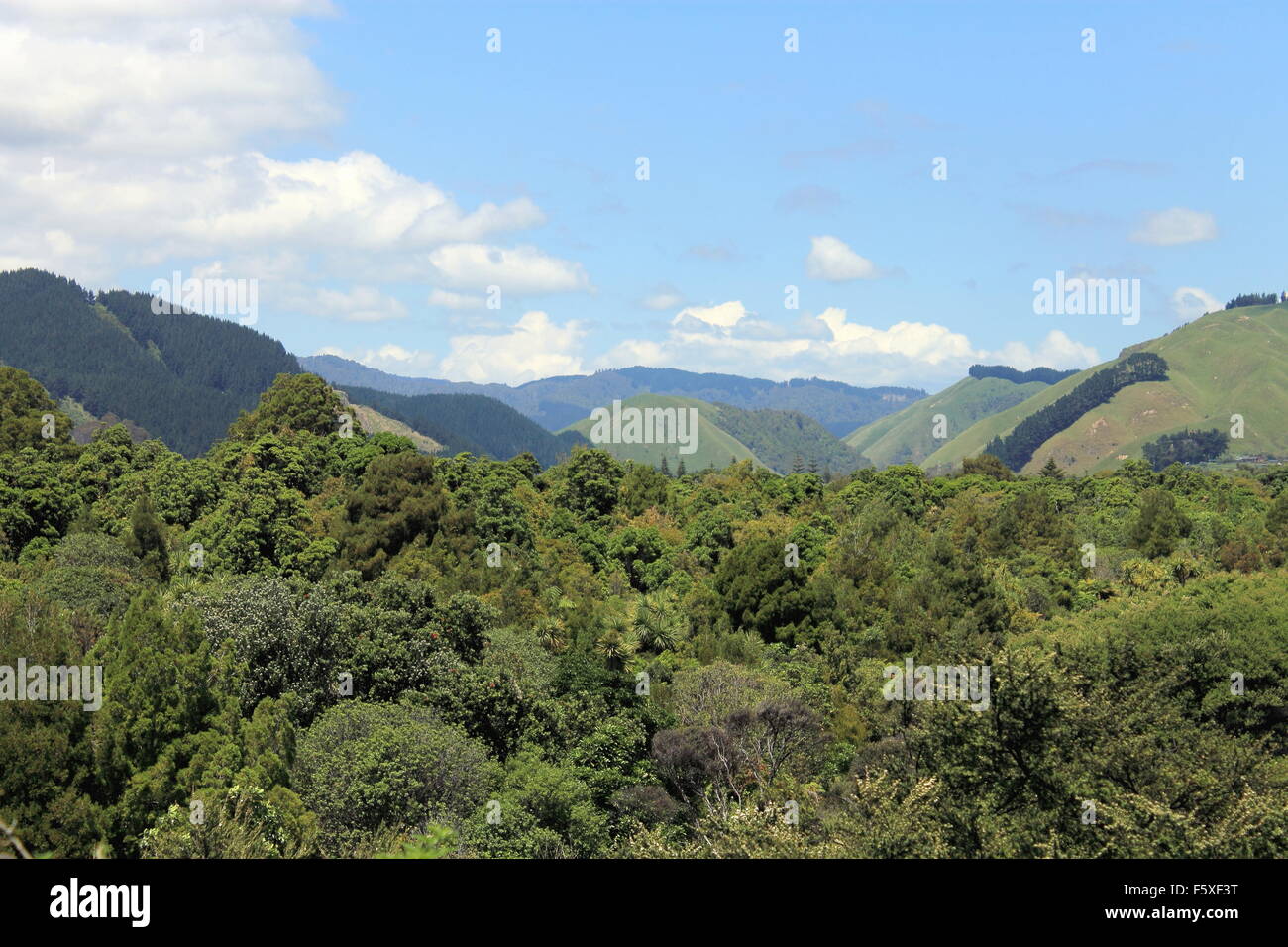 Akatarawa hi-res stock photography and images - Alamy