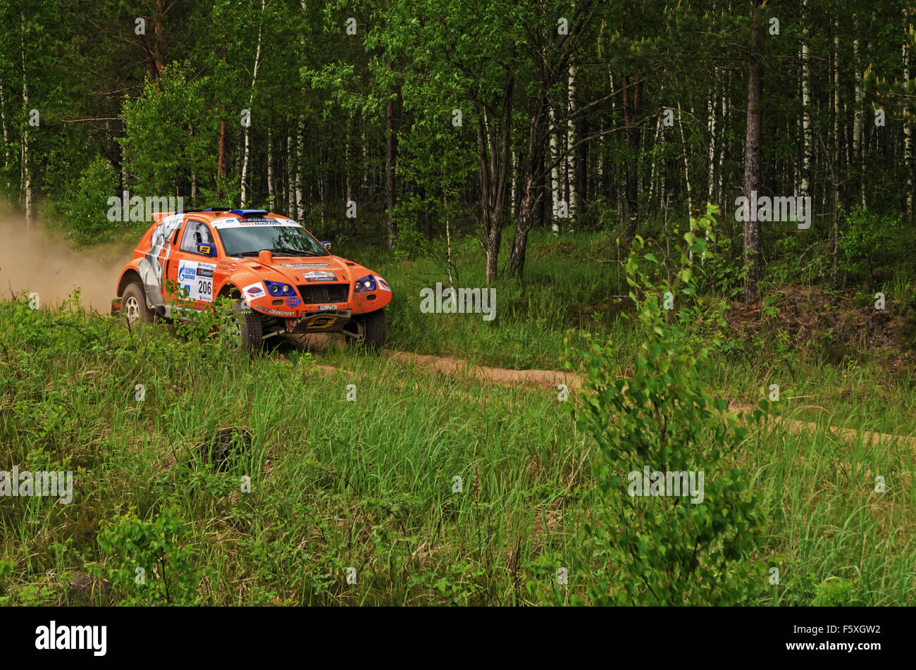Races on a rally-raid in forest. Rally-raid Baha "Belarus" 2015 ...