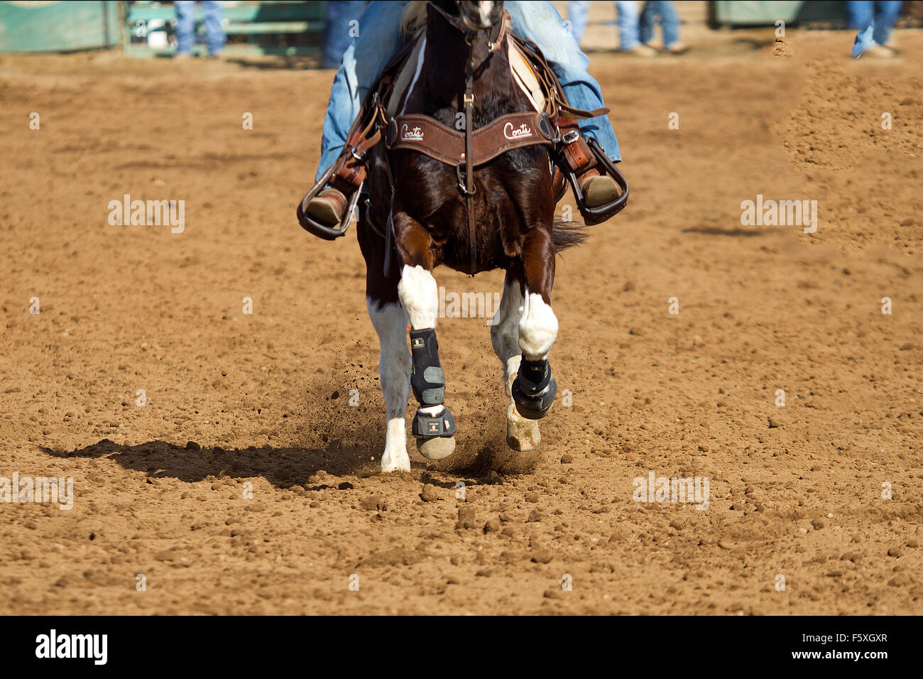 Western bridle hi-res stock photography and images - Alamy