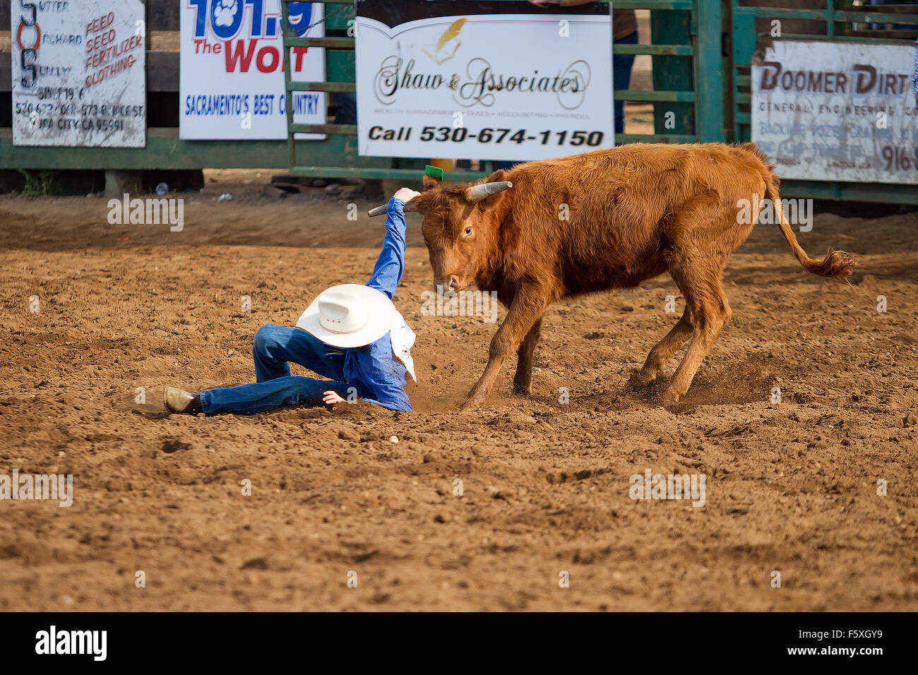 Teen cowboy hi-res stock photography and images - Alamy